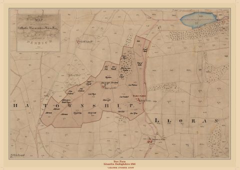 Gallery - your forgotten fields