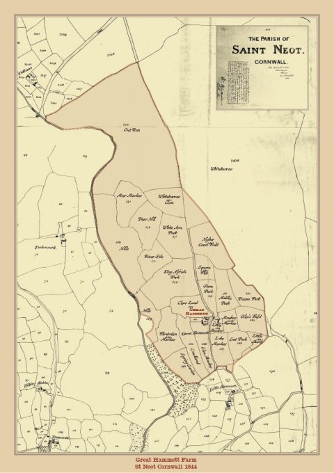 Gallery - your forgotten fields