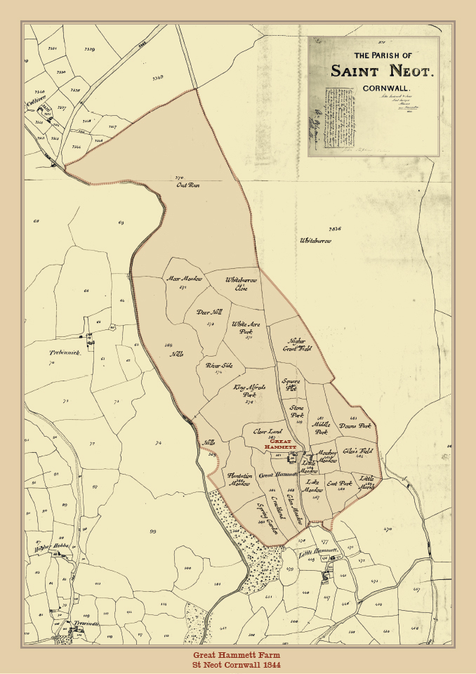 Gallery - your forgotten fields