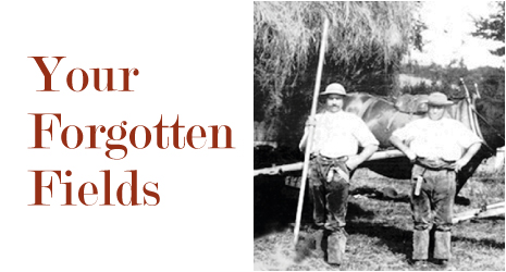 Home - your forgotten fields